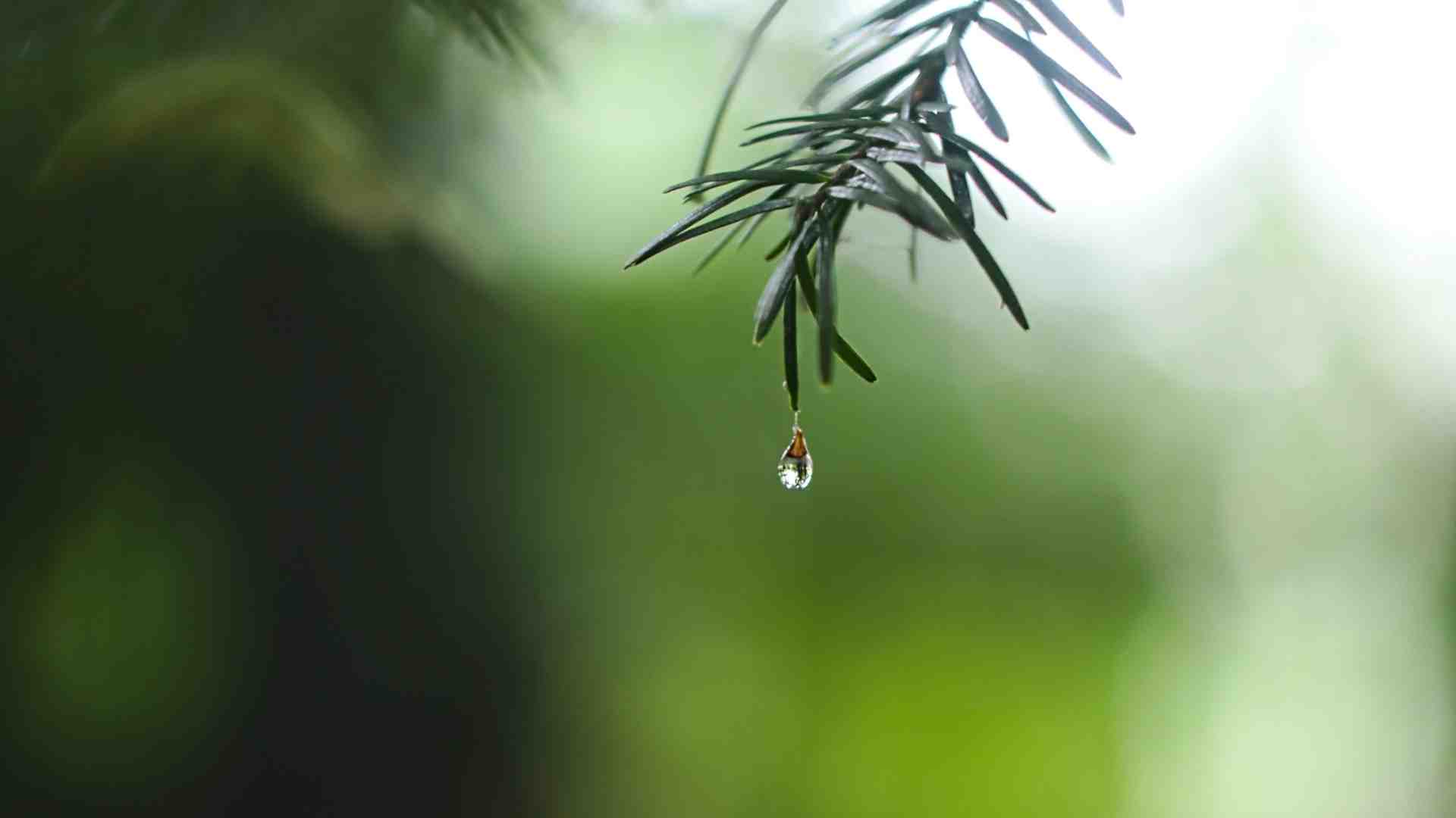 Does God See Our Tears and Does He Care? [Video]